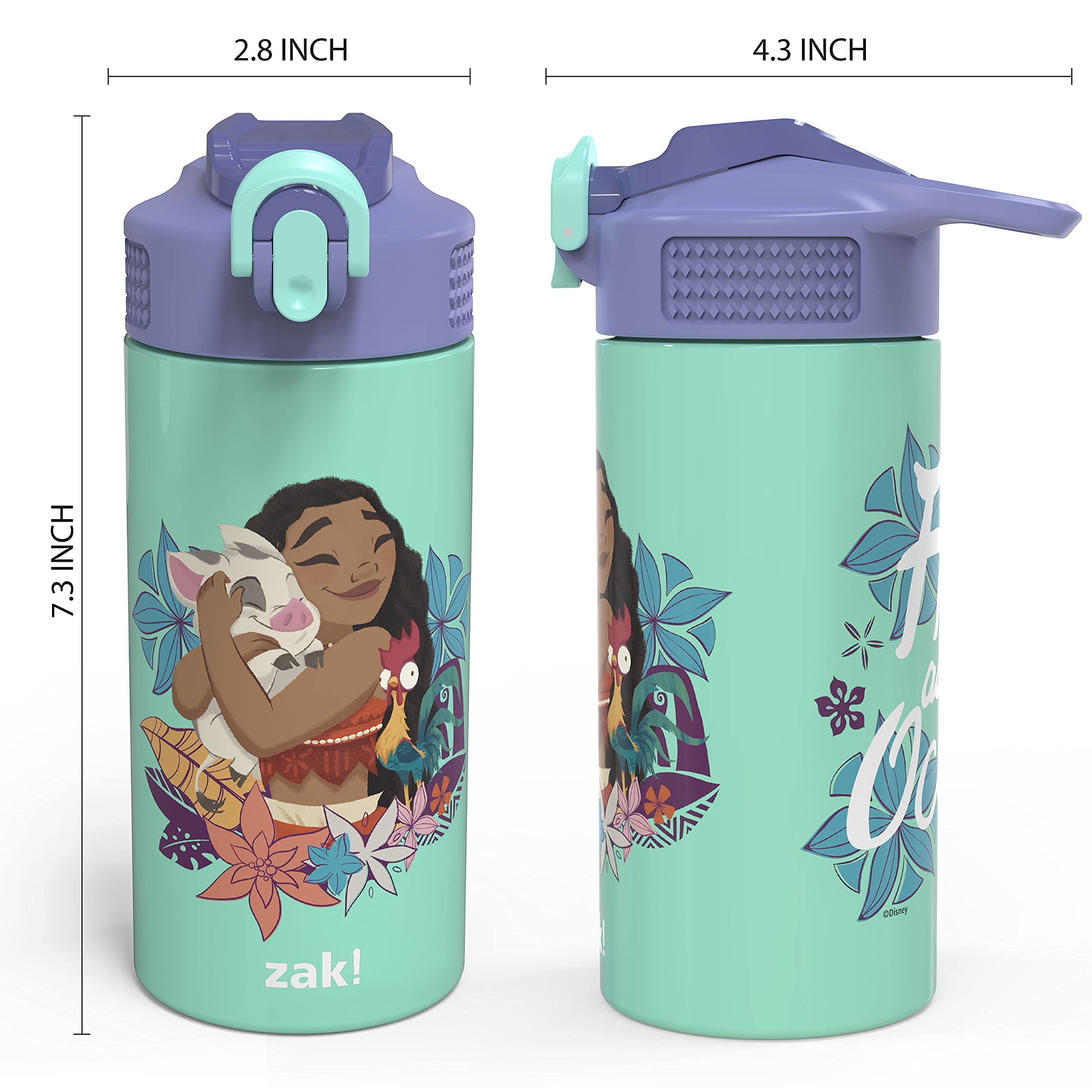 zak! Disney Moana - Stainless Steel Vacuum Insulated Water Bottle - 14 ...