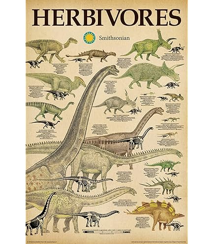 Dinosaur Evolution Chart