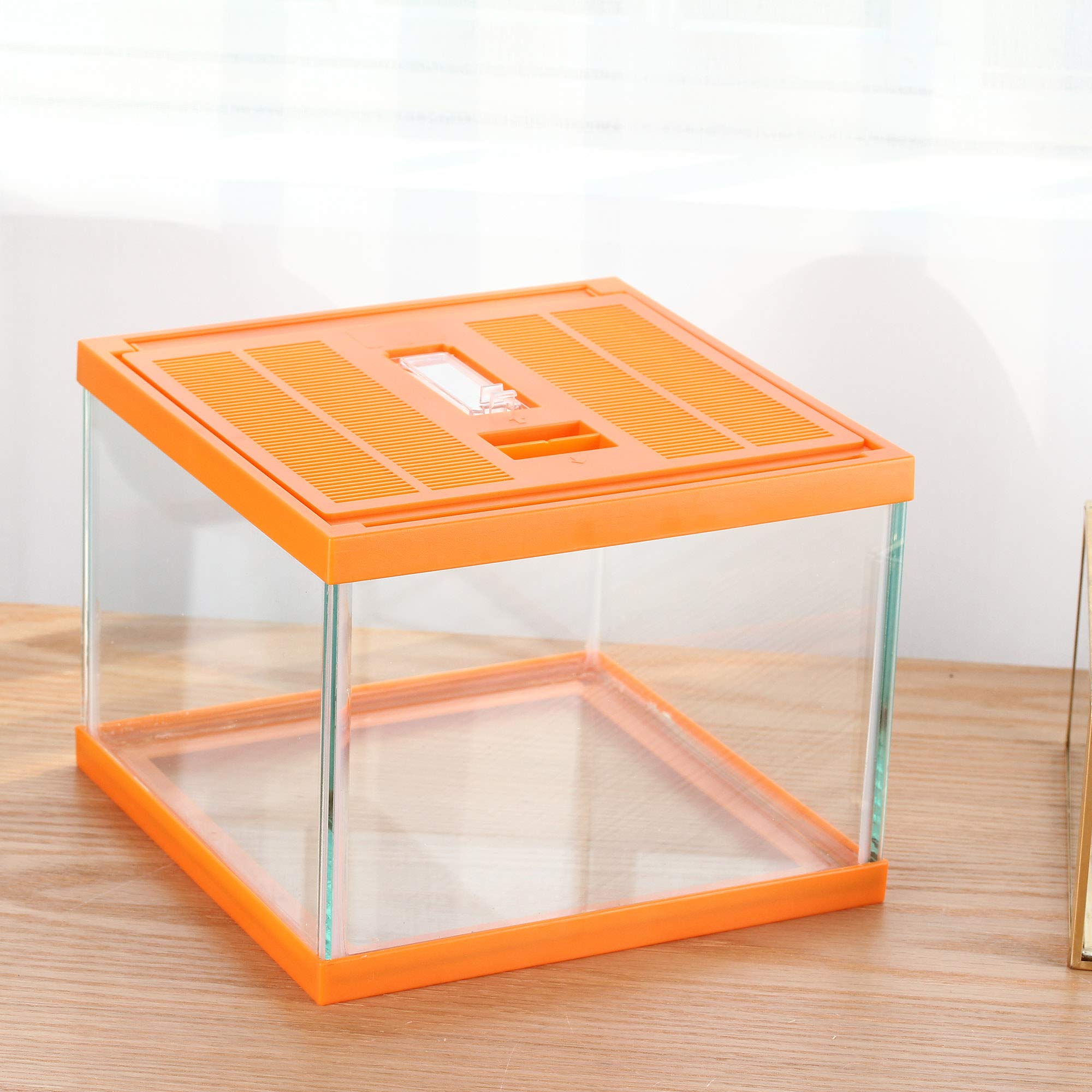 Mua crapelles Reptile Terrarium kit Color Orange Spider Container Tarantula Box cage Gecko ...