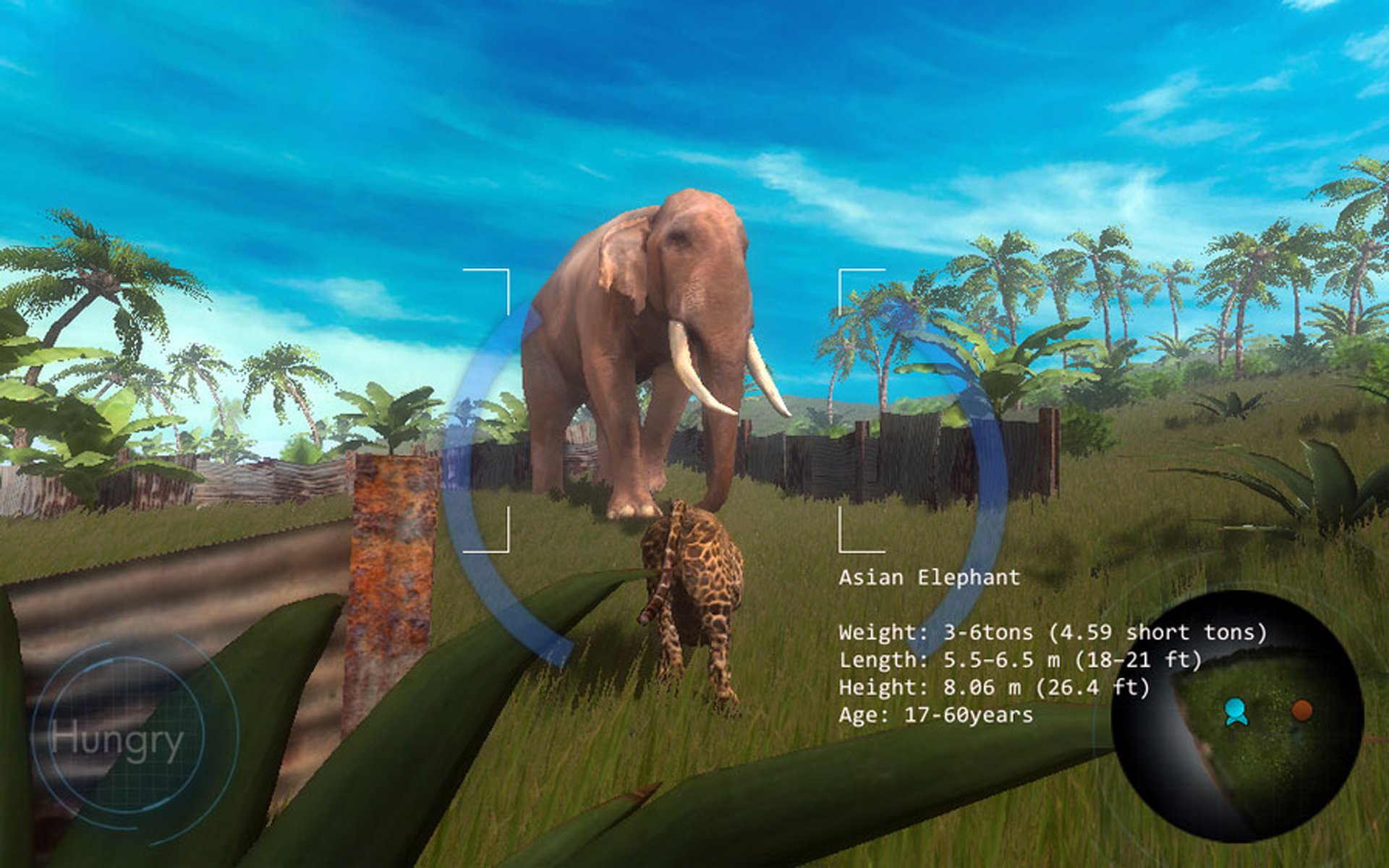 Wild Leopard Simulator:Amazon.co.uk:Appstore for Android