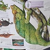 Knowledge Encyclopedia Animal!: The Animal Kingdom as you've Never Seen ...