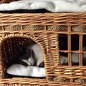 Woven 2 Floor Indoor Cat Den. This Home For Your Cats Comes Complete ...