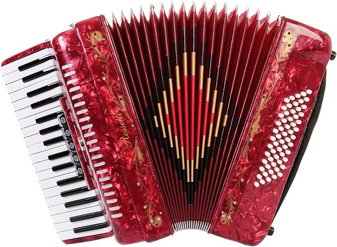 Amazon.com: Rossetti Piano Accordion 60 Bass 34 Keys 5 Switches with ...