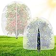 Amazon.com : OZMI Large Bird Netting for Garden Blueberry Bushes Fruit ...
