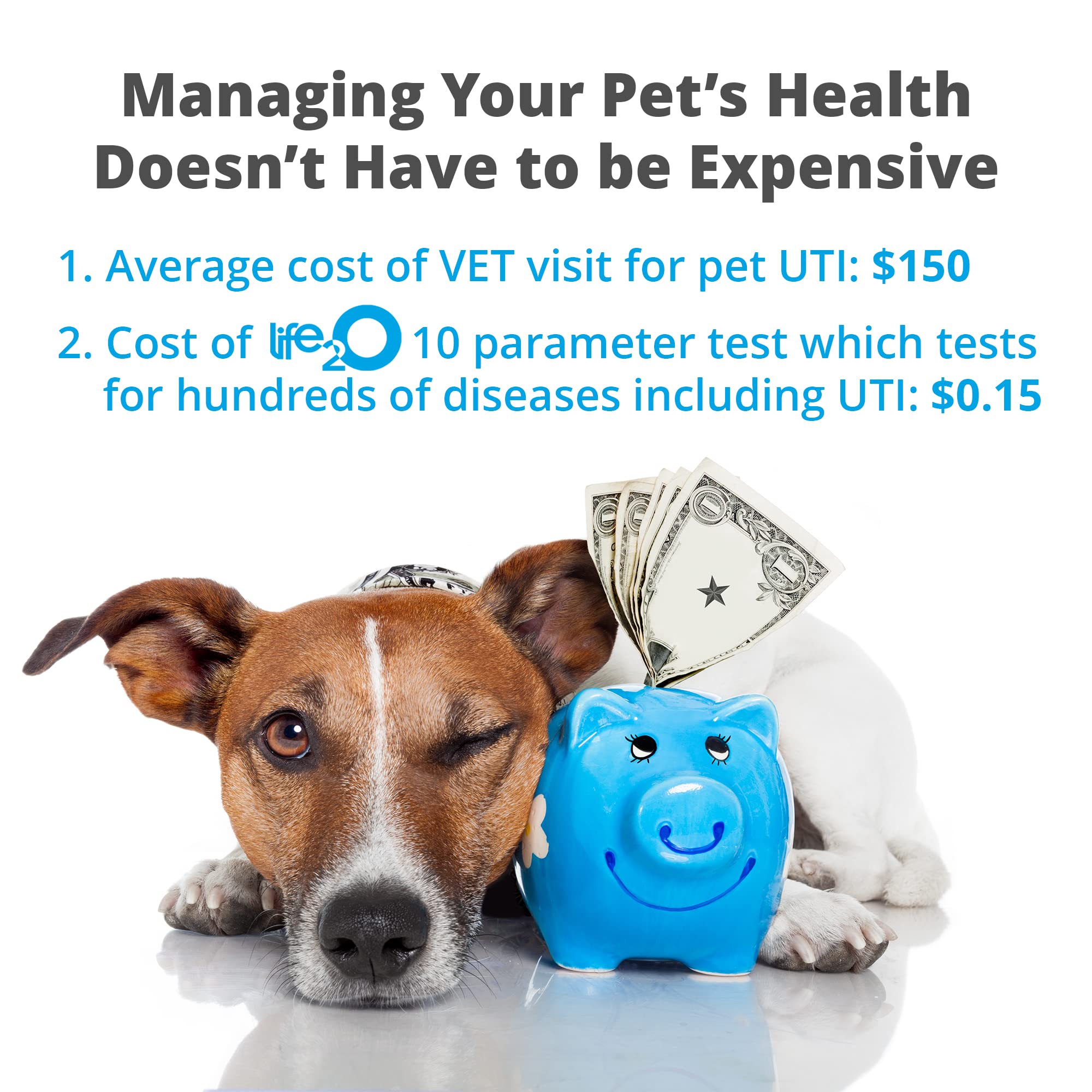 Mua 10-Parameter Cat & Dog Urine Test Strips 60ct, Cat & Dog UTI Test ...