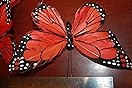 Amazon.com: Monarch Butterfly Garland : Home & Kitchen