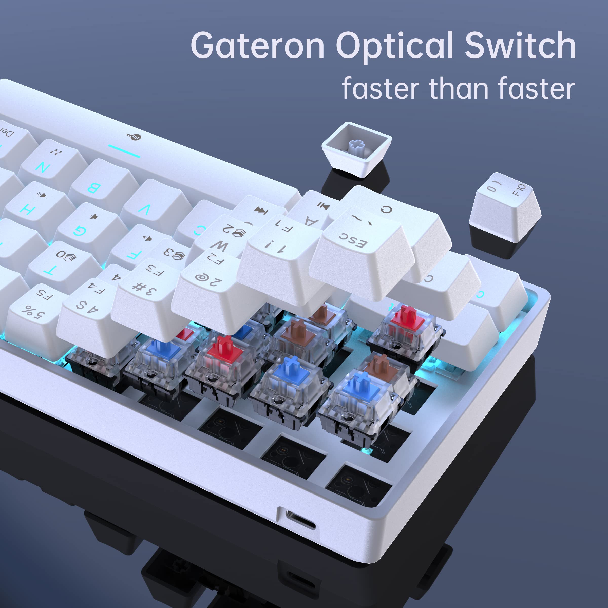 Mua DIERYA DK61E 60% Percent Mechanical Gaming Keyboard, Optical Red ...