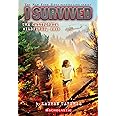 I Survived the California Wildfires, 2018 (I Survived #20) (20 ...