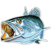 Amazon.com: Bluegill Sticker Fishing Sticker - Freshwater Wildlife Car ...