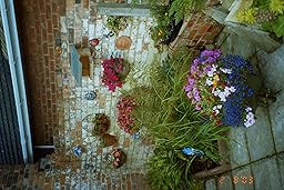 Jumbl 22MP All-In-1 Film & Slide Scanner w: Amazon.co.uk: Electronics