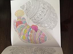 Animal Kingdom: Color Me, Draw Me: Amazon.ca: Millie Marotta: Books