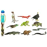 Amazon.com: Safari Ltd Frogs and Turtles TOOB: Toys & Games