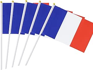Amazon.com: Kind Girl 25 Pack Hand Held Small Mini Flag France Flag ...