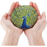 Amazon.com: ROCART 6 PCS Extra Large 5.5-6.5" Flat Rocks for Painting ...