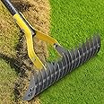 Amazon.com : Dual-Action Thatch Rake for Lawn – Efficient 15" Thatching ...