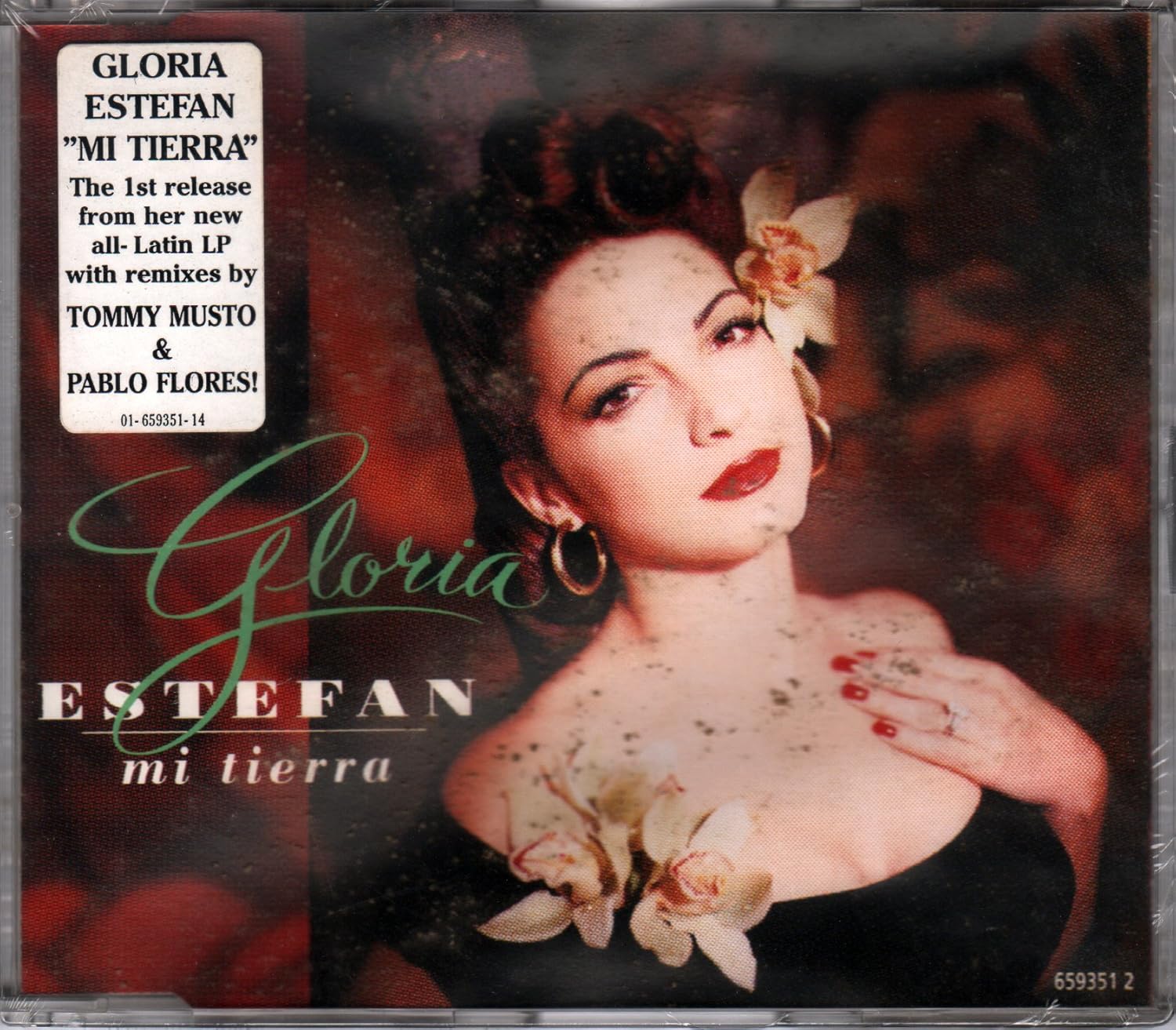 Mi tierra : Gloria Estefan: Amazon.es: CDs y vinilos}