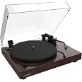 Fluance RT82 Reference High Fidelity Vinyl Turntable Record Player with ...