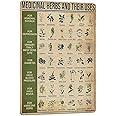 Amazon.com: PAIION Medicinal Herbs and Their Uses Posters Metal Signs ...