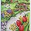 Amazon.com: Creative Haven Spring Scenes Coloring Book (Creative Haven ...