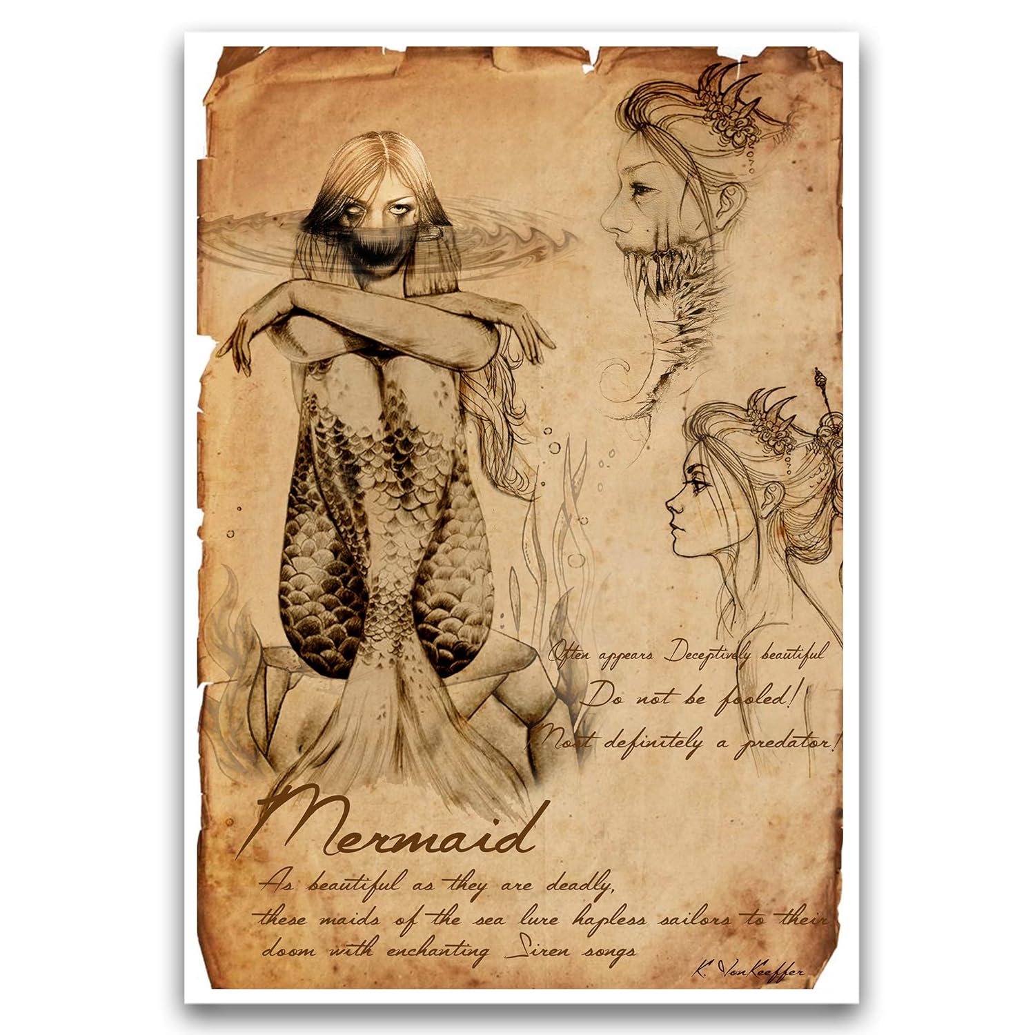 Amazon.com: Mermaid art print, american folklore cryptid bestiary art ...