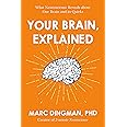 Your Brain, Explained: What Neuroscience Reveals About Your Brain and ...