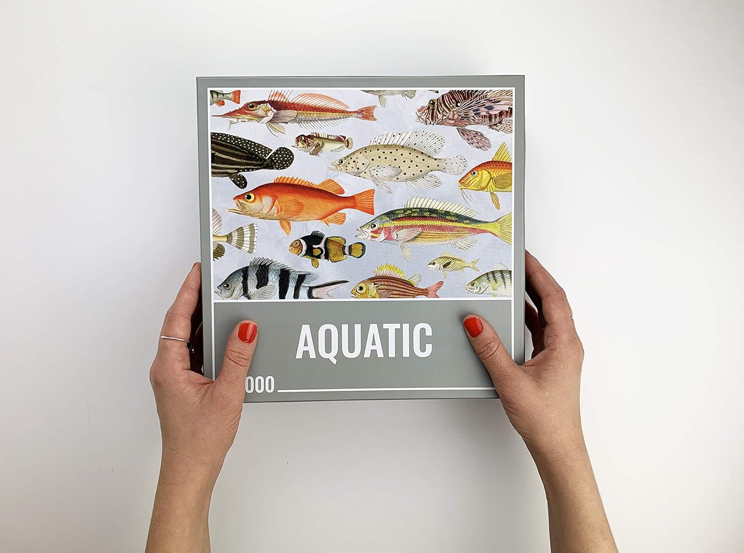 Aquatic – Gorgeous, Detailed Marine-Themed 1000-piece Fishing Puzzle ...