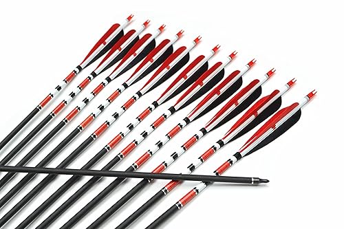 Best Carbon Arrows 2022 – Reviews & Buyer’s Guide (Feb. 2022)