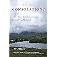 Consolations: The Solace, Nourishment and Underlying Meaning of ...