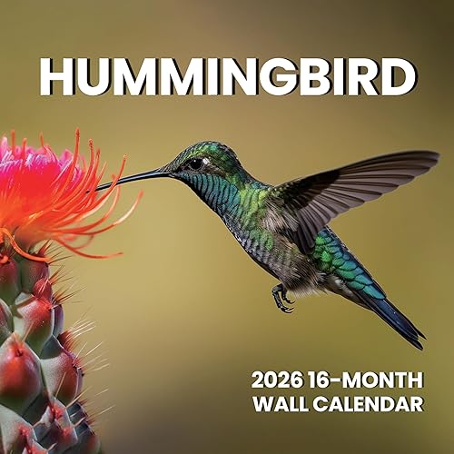 SUNEE Calendar 2025-2026 for Wall, 2026 Large Wall calendar 12x12 ...