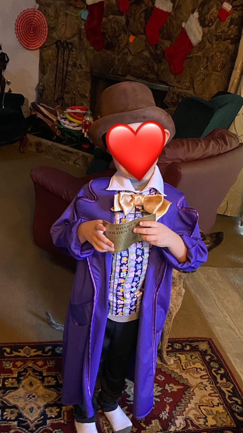 $7/mo - Finance Rubie's Kids Willy Wonka, The Chocolate Factory Willy ...