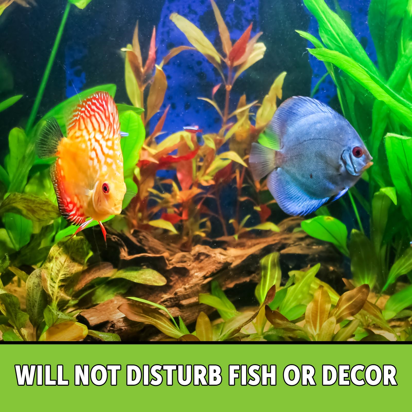 Mua Python No Spill Clean and Fill Aquarium Maintenance System, Gravel ...