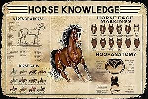 Amazon.com: Horse Knowledge Metal Tin Sign Parts Of A Horse Retro Poster Equestrian Club School ...