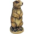 Amazon.com : Design Toscano QL57873 Pesty, the Garden Gopher Statue, 6 ...