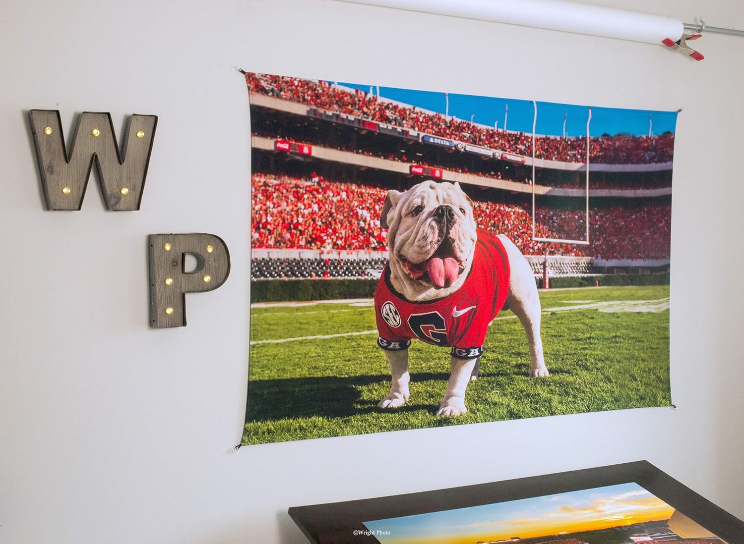 Amazon.com : UGA Georgia Bulldogs: Photo Tapestry Wall Art Poster Print ...