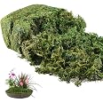 Amazon.com: Fake Moss 2.2LB, Artificial Moss for Potted Plants, Fake ...