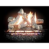 Amazon.com: CleanBurn Mountain Oak 24" Vented Natural Gas Log Set ...