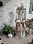 Amazon.com: Two-Headed Life-Size Human Skeleton (5 feet Tall) Posable ...