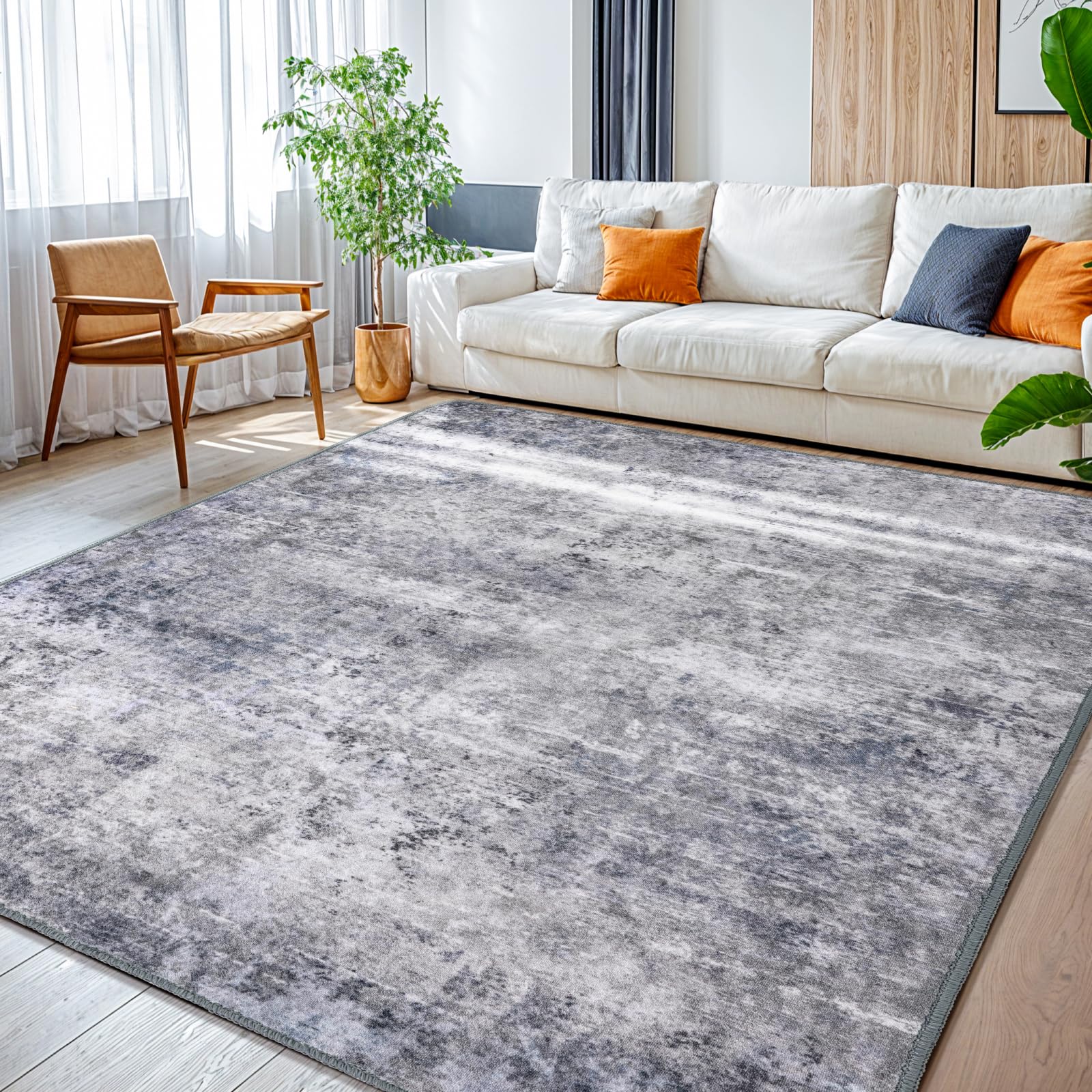 Shilucheng 5x7 Rugs for Living Room, Soft Indoor Abstract Area Rug for ...
