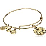 Amazon.com: Alex and Ani Bangle Bar Path of Life Rafaelian Gold-Tone Expandable Bracelet: Jewelry