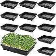 Amazon.com : KEILEOHO 12 Pack 15 x 12 Inches Seed Starter Trays ...