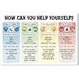 Amazon.com: 16x24 " Emotion Management Poster Large; Zones Of ...