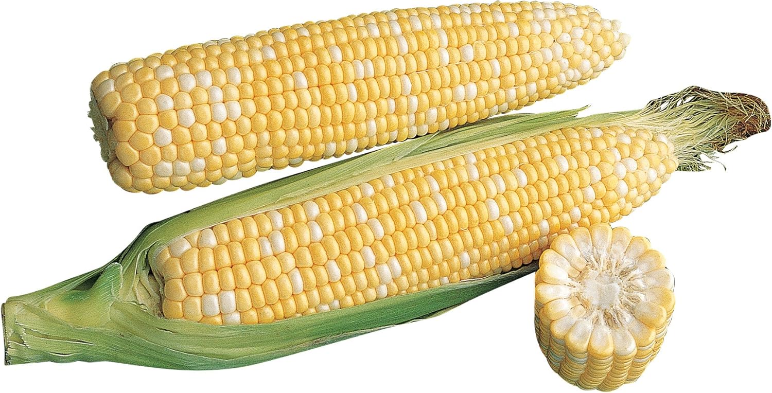 Amazon.com: Burpee Ambrosia Sweet Corn Seeds 200 seeds: Garden & Outdoor