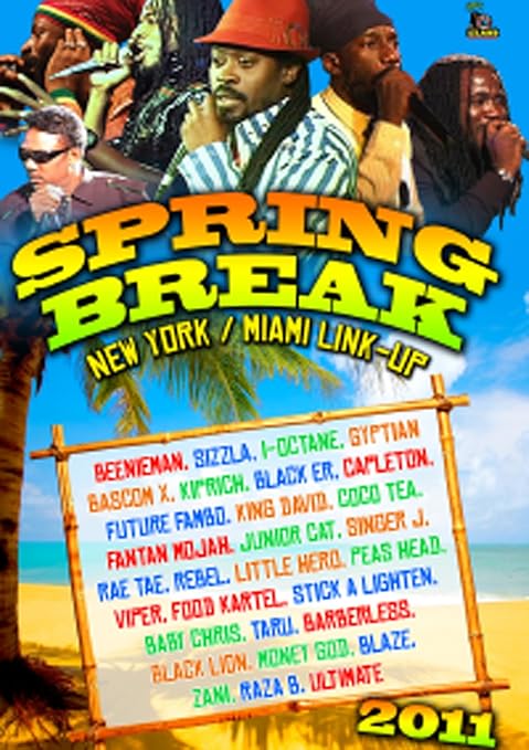 Spring Break 2011 DVD Region 1 US Import NTSC: Amazon.co.uk: DVD & Blu-ray