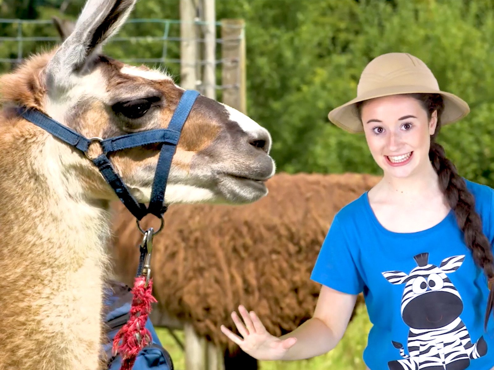 Watch Ellie Explorer | Prime Video