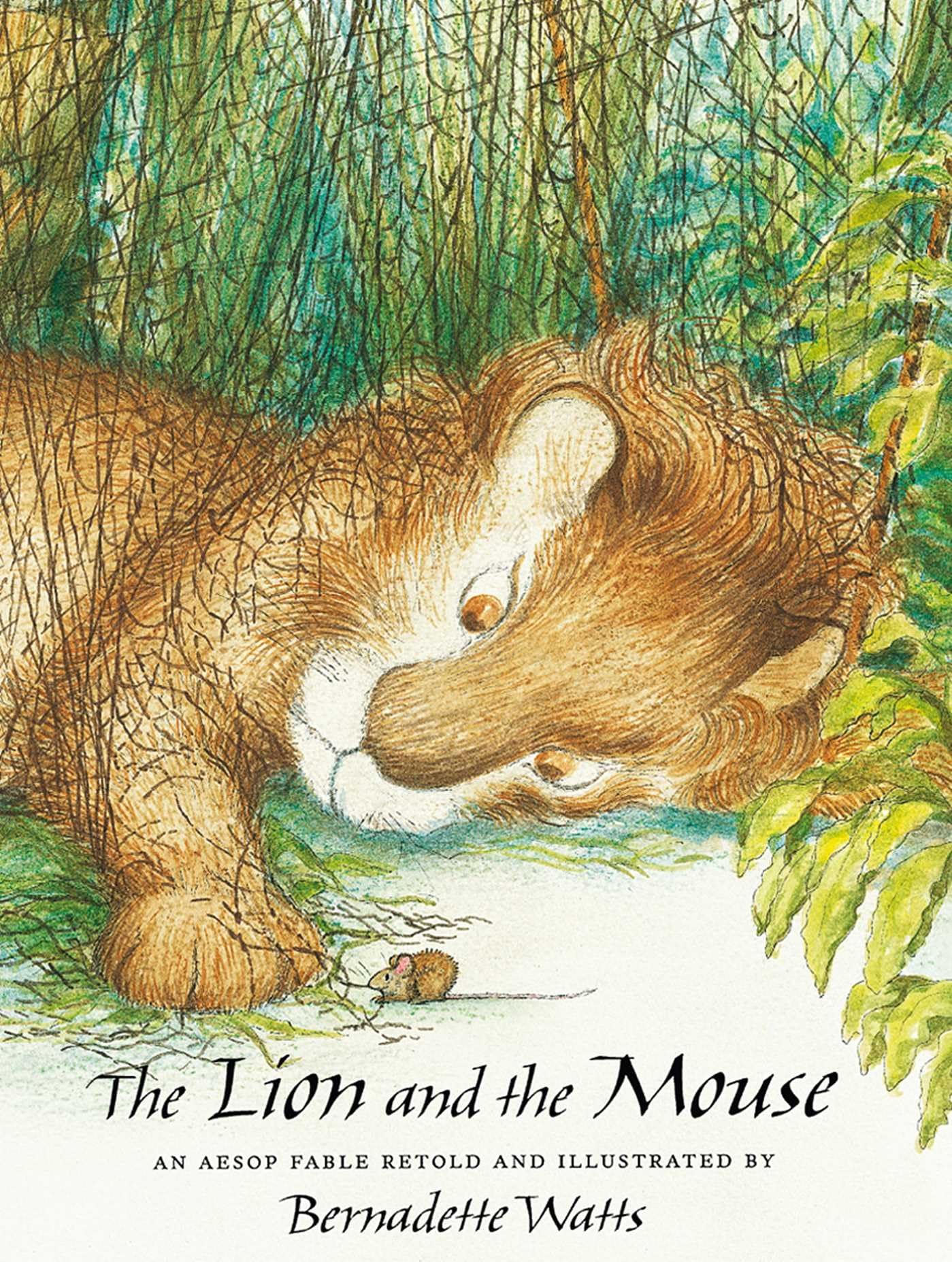 Mua The Lion and the Mouse trên Amazon Mỹ chính hãng 2025 | Fado