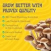 SPORE SORCERY 3 LB Sterilized Milo Sorghum Grain Spawn | Nutrient ...