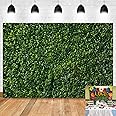 Amazon.com : Green Leaves Photography Backdrops Spring Nature Outdoorsy ...