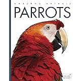 Amazing Animals: Parrots: Bodden, Valerie: 9780898128253: Amazon.com: Books