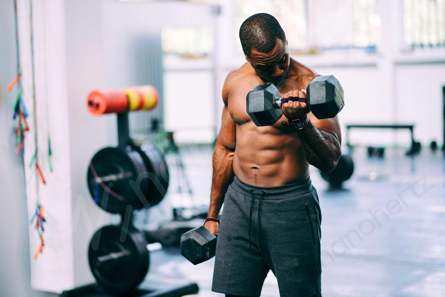Musculacion Gym