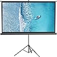 Amazon.com: HYZ Projector Screen with Stand,100 inch Indoor Outdoor PVC ...